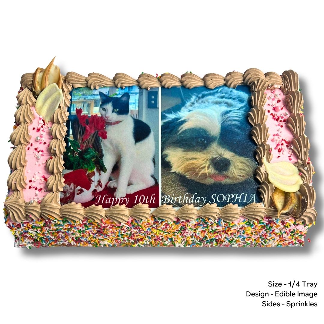 Sponge Cake – Goldies Bake Shop